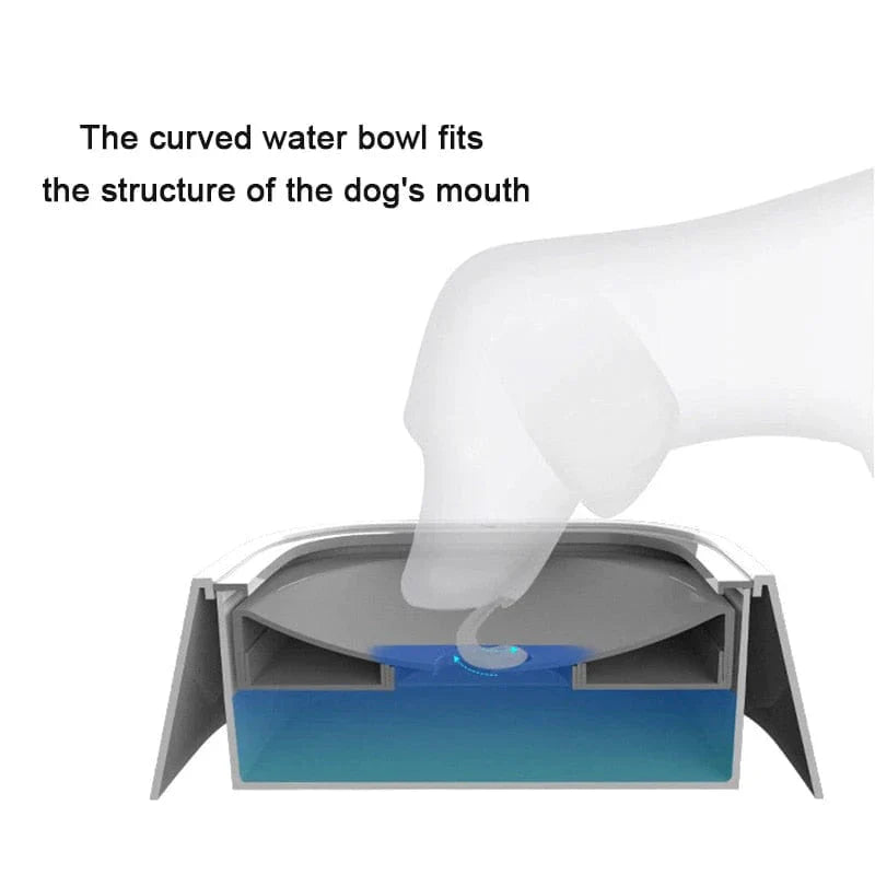 Dog Drinking Water Bowl with Floating Design - Non-Wetting, Non-Skid ...